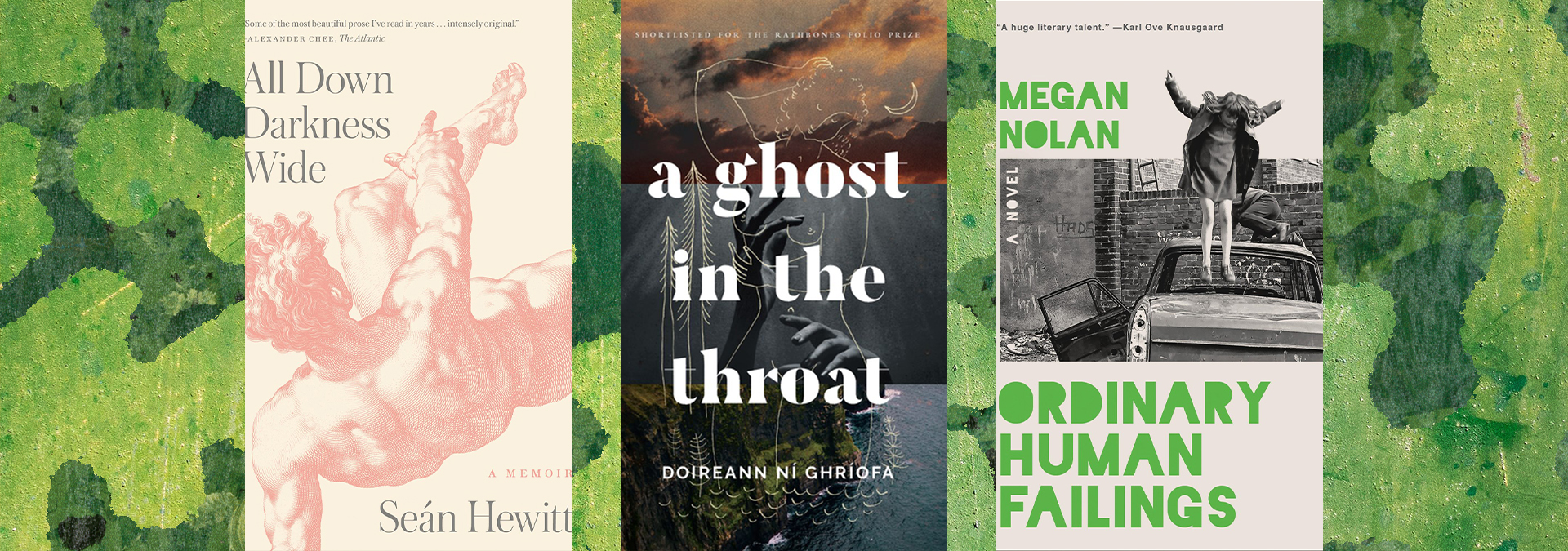 10 Books by Contemporary Irish Authors You Need to Read - Chicago ...