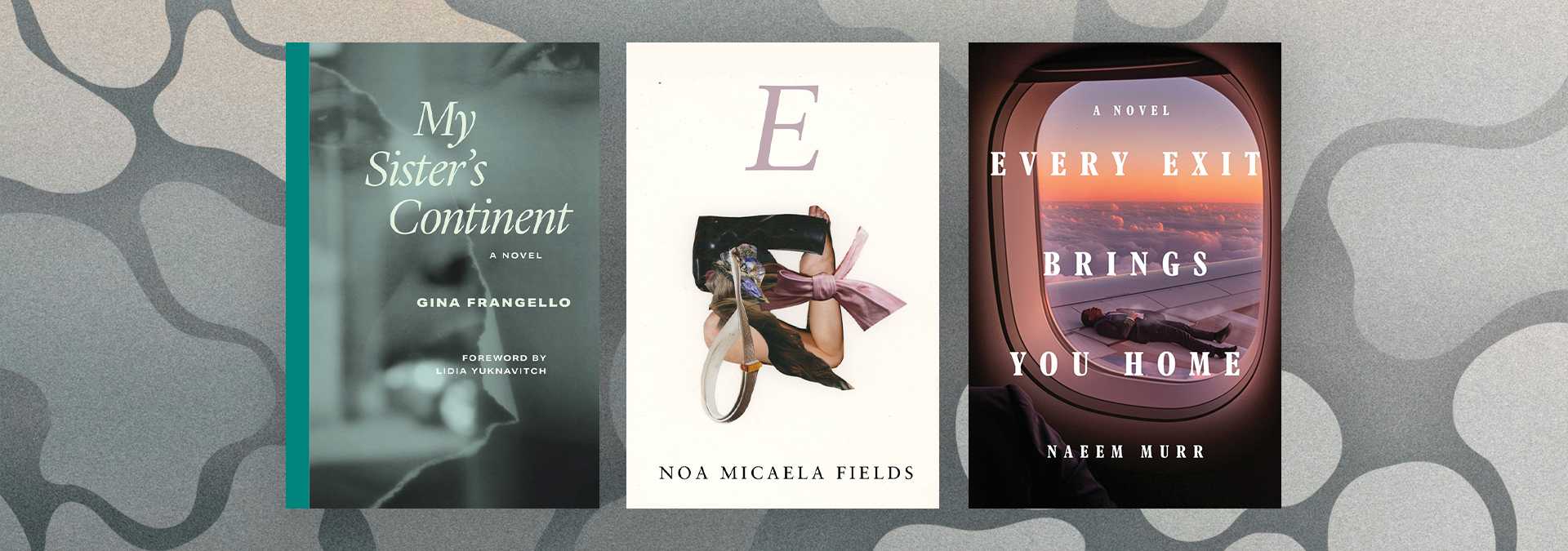 New Books from Chicago Authors in 2026 Part I - Chicago Review of Books